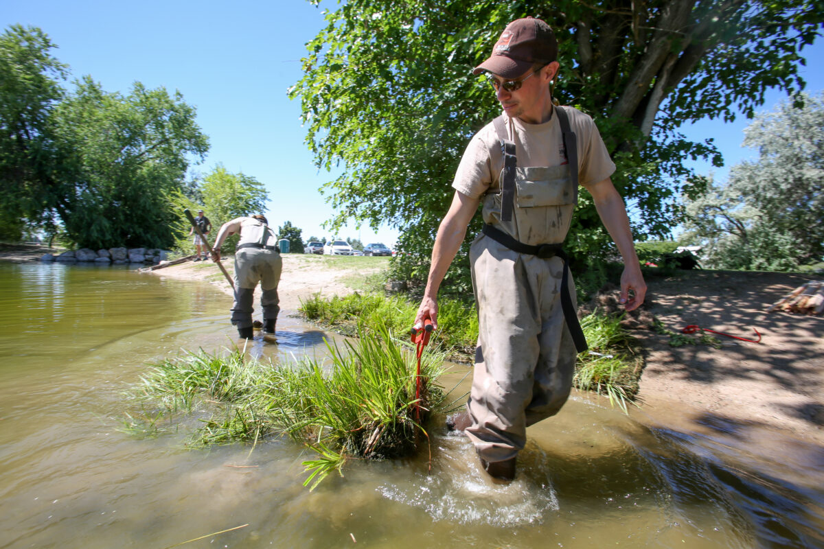 Officials work to keep Steed Pond, other waters, healthy | News, Sports ...